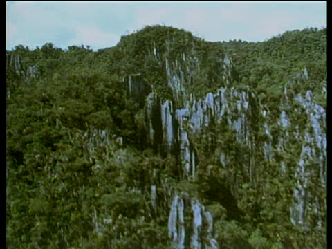 Jungles of Chult | Streets & Spores