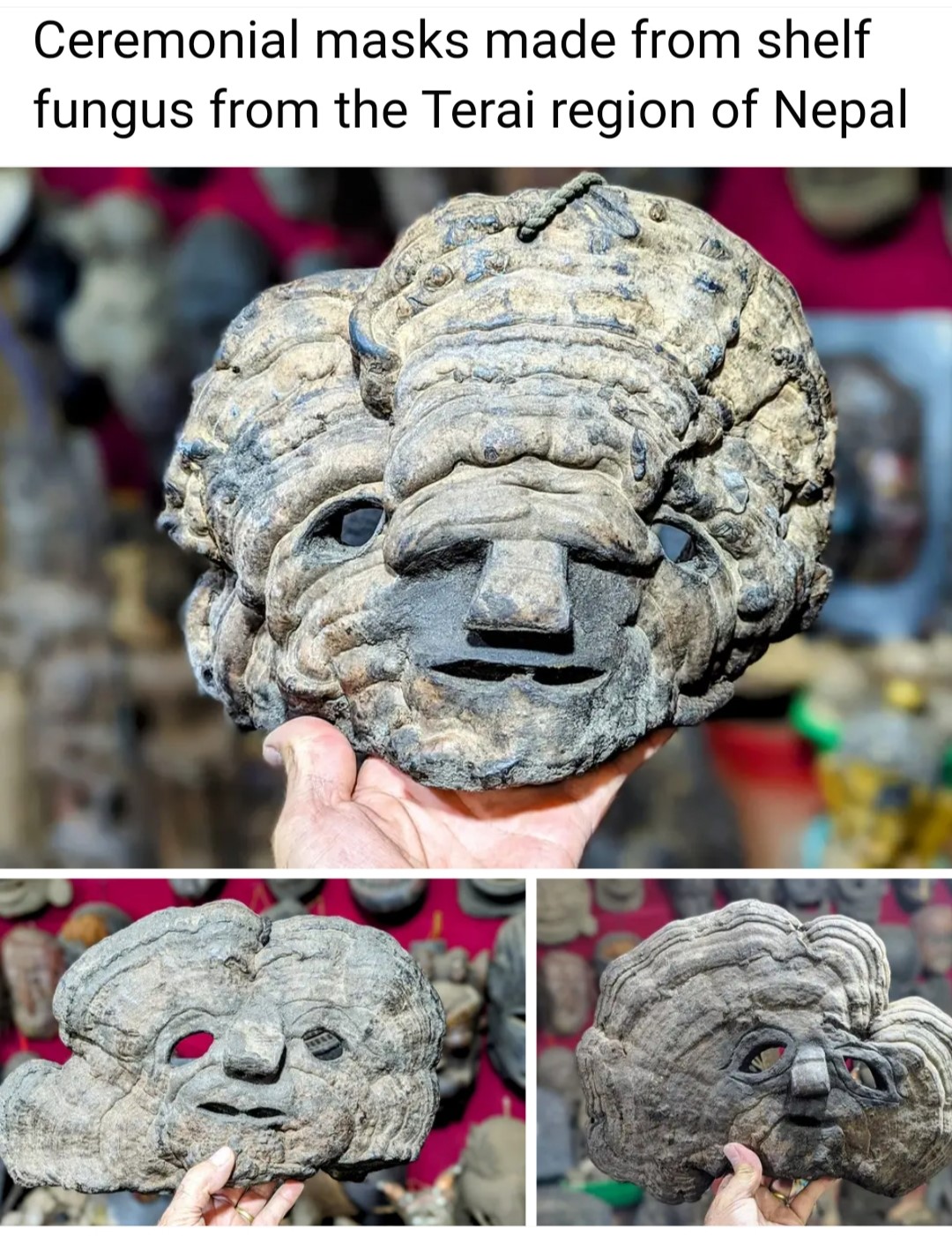 Ceremonial Fungus Mask | Streets & Spores